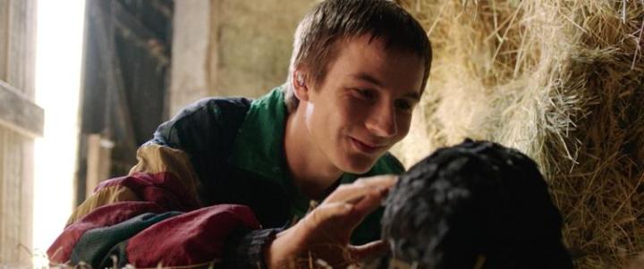 Review: Chicken dir. Joe Stephenson – Bakchormeeboy