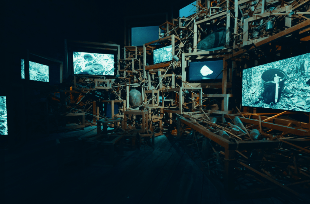 Art What!: Robert Zhao Renhui’s ‘Seeing Forest’ makes premiere at the Singapore Pavilion at the ...